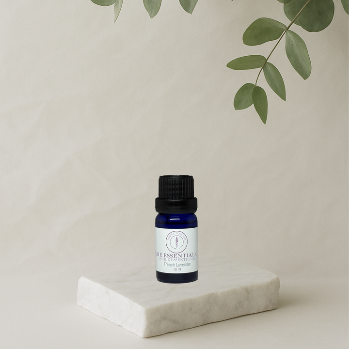 Lavender Essentials – Purple Blossom Lavender Farm